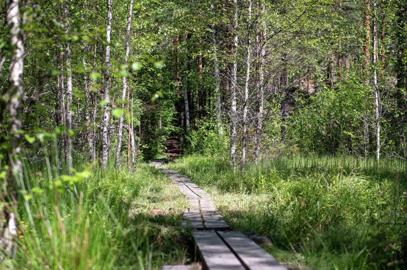 Naantalin luontopolut ja -reitit – Visit Naantali