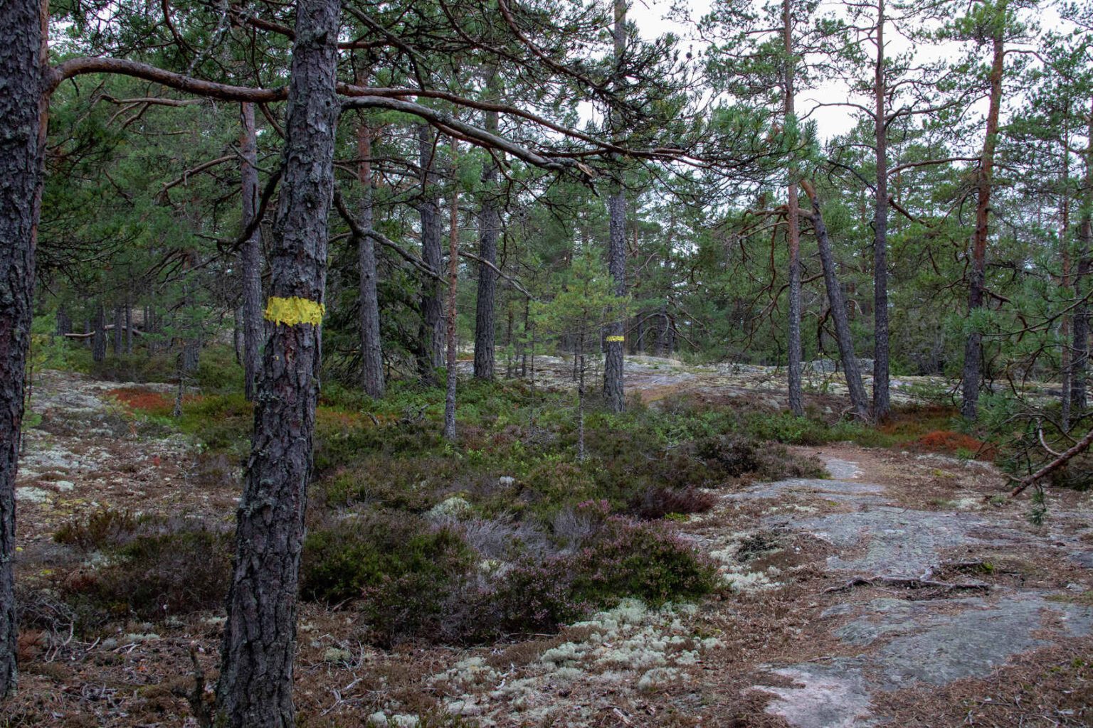 Naantalin luontopolut ja -reitit – Visit Naantali